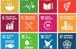 Partnerships Essential for the UN SDGs to Transform Lives | Global ...